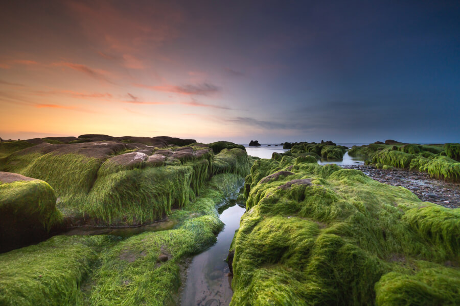 Preskool - Basic Inputs